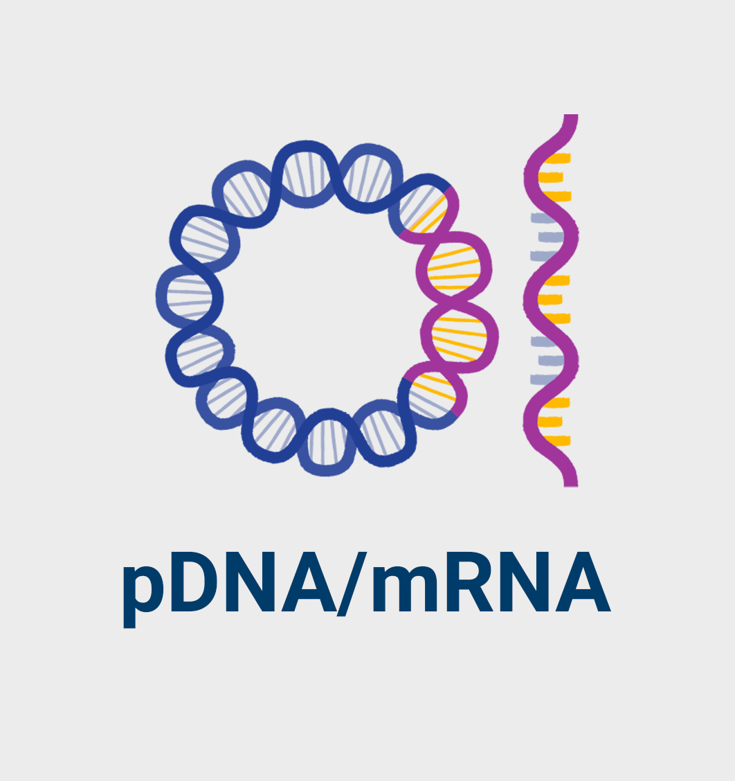 Contact Us | BIOVECTRA